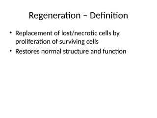Repair_and_Regeneration_mbbsPathology.pptx