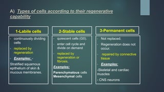 repair for recording (tissue repair) .pptx