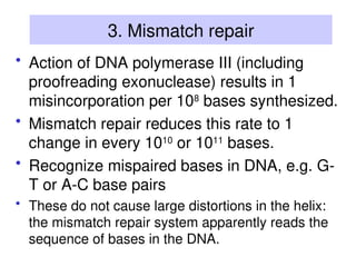 Different types of DNA Repair mechanisms.ppt