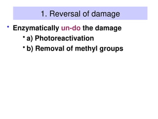 Different types of DNA Repair mechanisms.ppt
