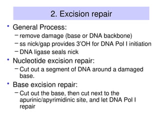 Different types of DNA Repair mechanisms.ppt