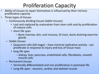 Repair and regeneration of tissues using stem cells | PPTX