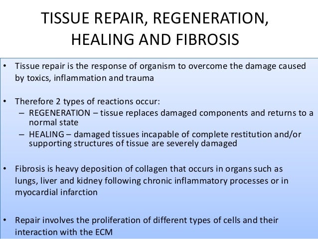 Repair and regeneration of tissues using stem cells