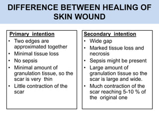 Repair & Wound Healing 2024 SAHARA MEDICAL COLLEGE NAROWAL, PUNJAB ...