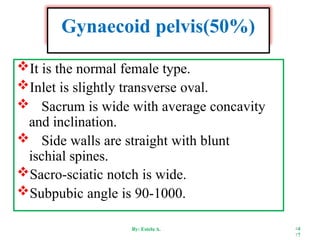 Reproductive anatomy and physiology for nursing | PPTX
