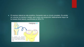 Reparación de meniscos.pptx