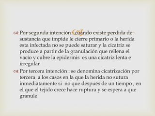 Reparacion y cicatrizacion | PPTX