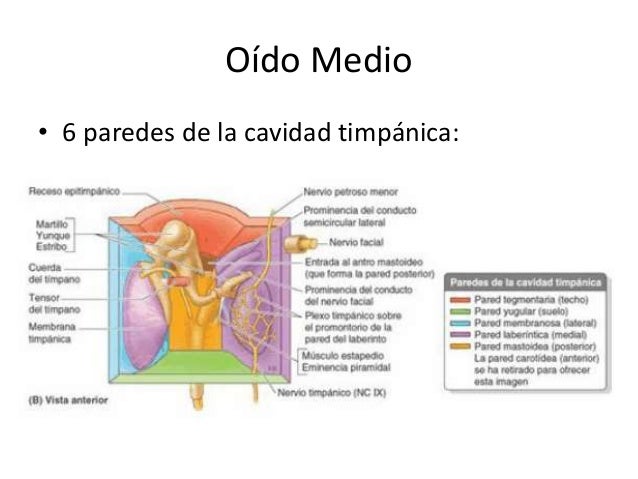 Repaso cabeza