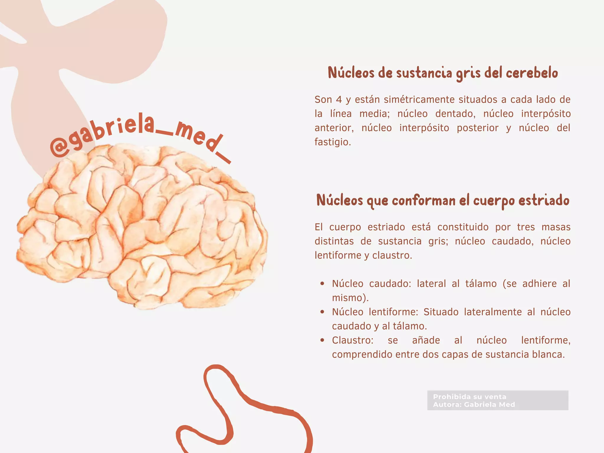 Repaso general de anatomía I por @gabriela_med_.pdf