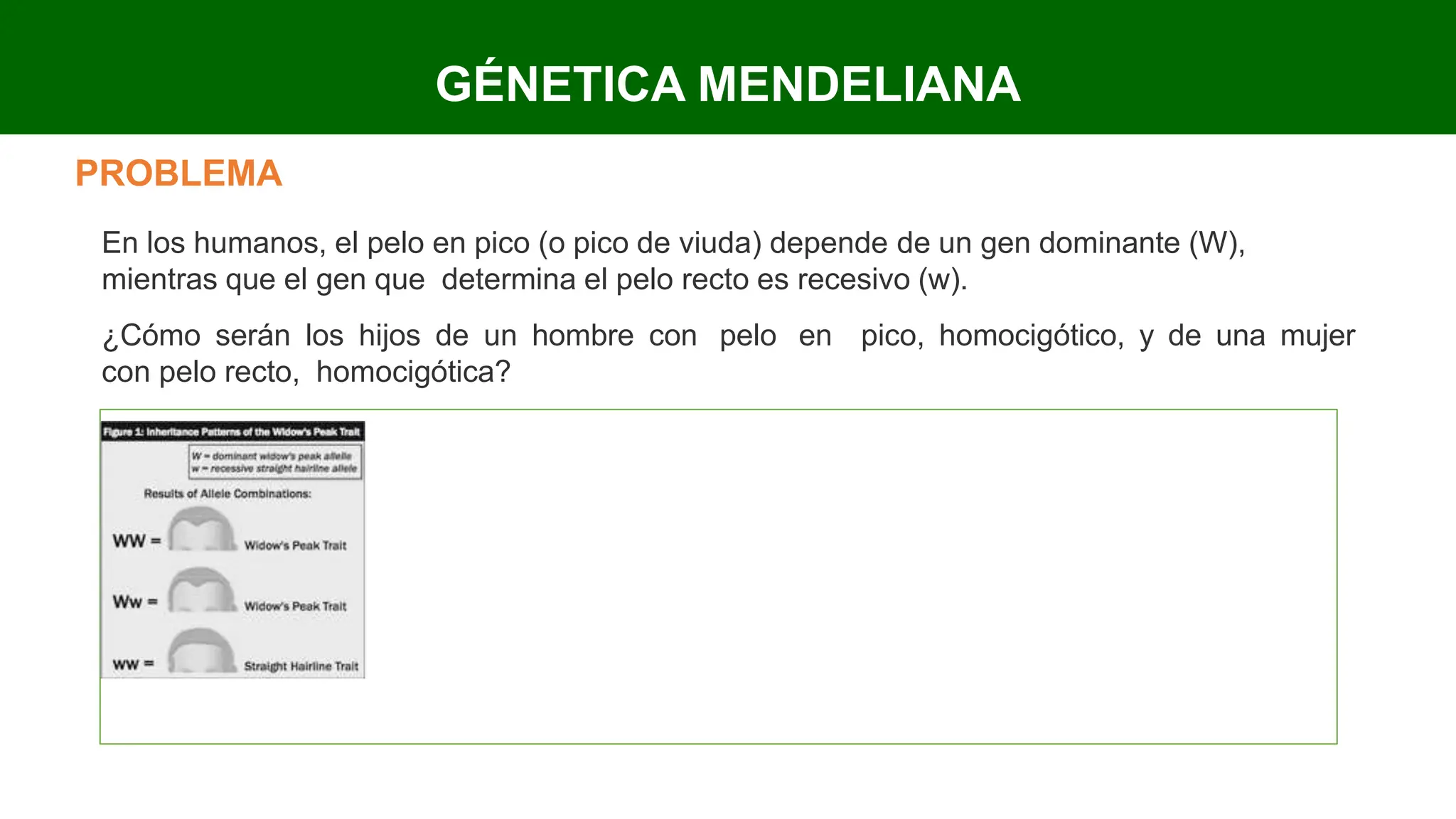 Genetica Mendeliana Y Post Mendeliana Genetica Humana Ppt