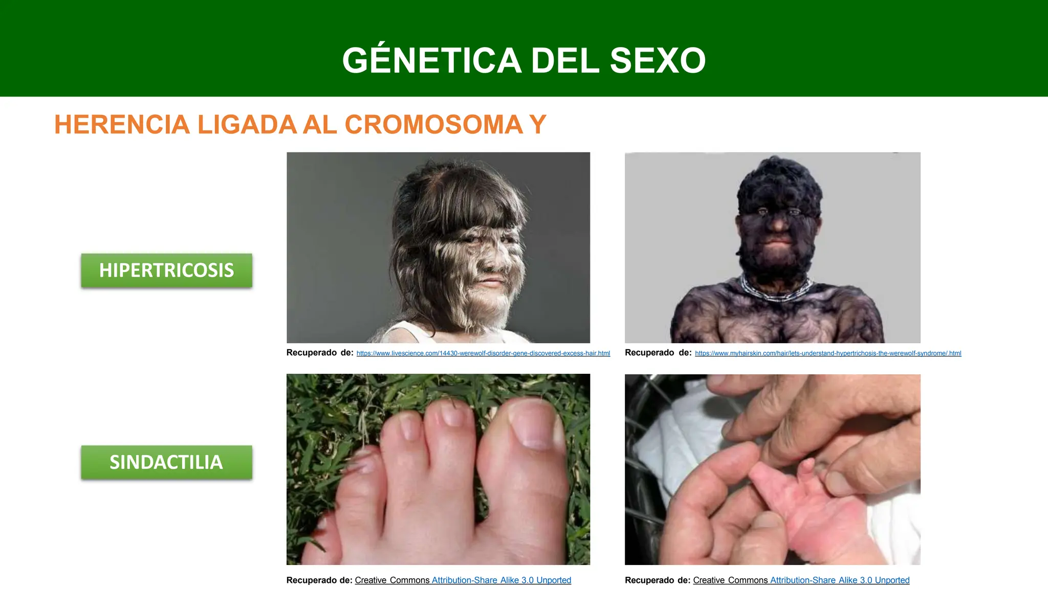genetica mendeliana y post mendeliana, genetica humana | PPTX ...