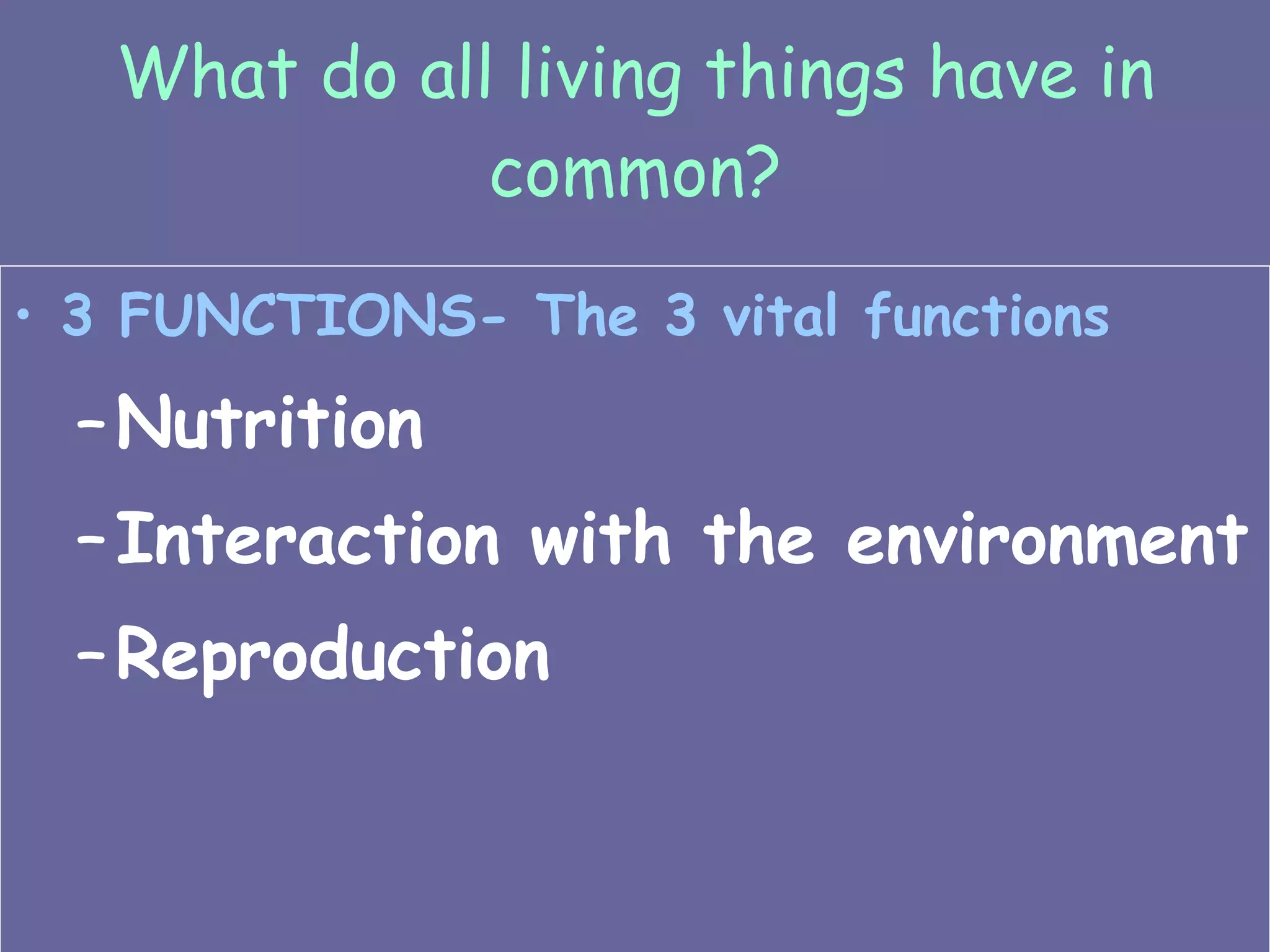 Review Unit 3 Living things 1 ESO | PPT