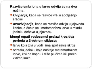 Repati vodozemci | PPT
