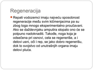 Repati vodozemci | PPT