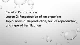 Grade 7 science quarter 2 Reproduction ppt | PPTX