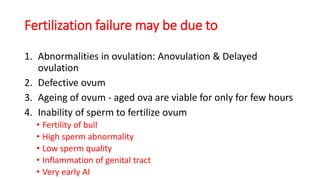 Repeat breeding | PPTX