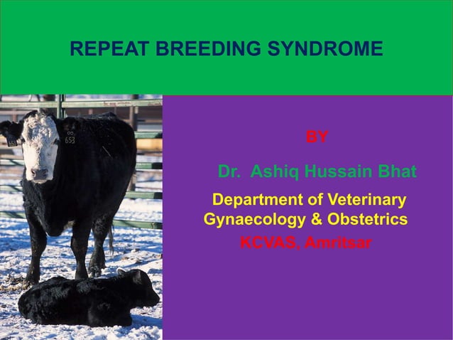 Repeat breeding Dr Ashiq | PPTX