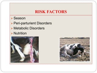 Repeat breeding Dr Ashiq | PPTX