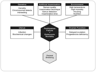 Repeat breeding Dr Ashiq | PPTX