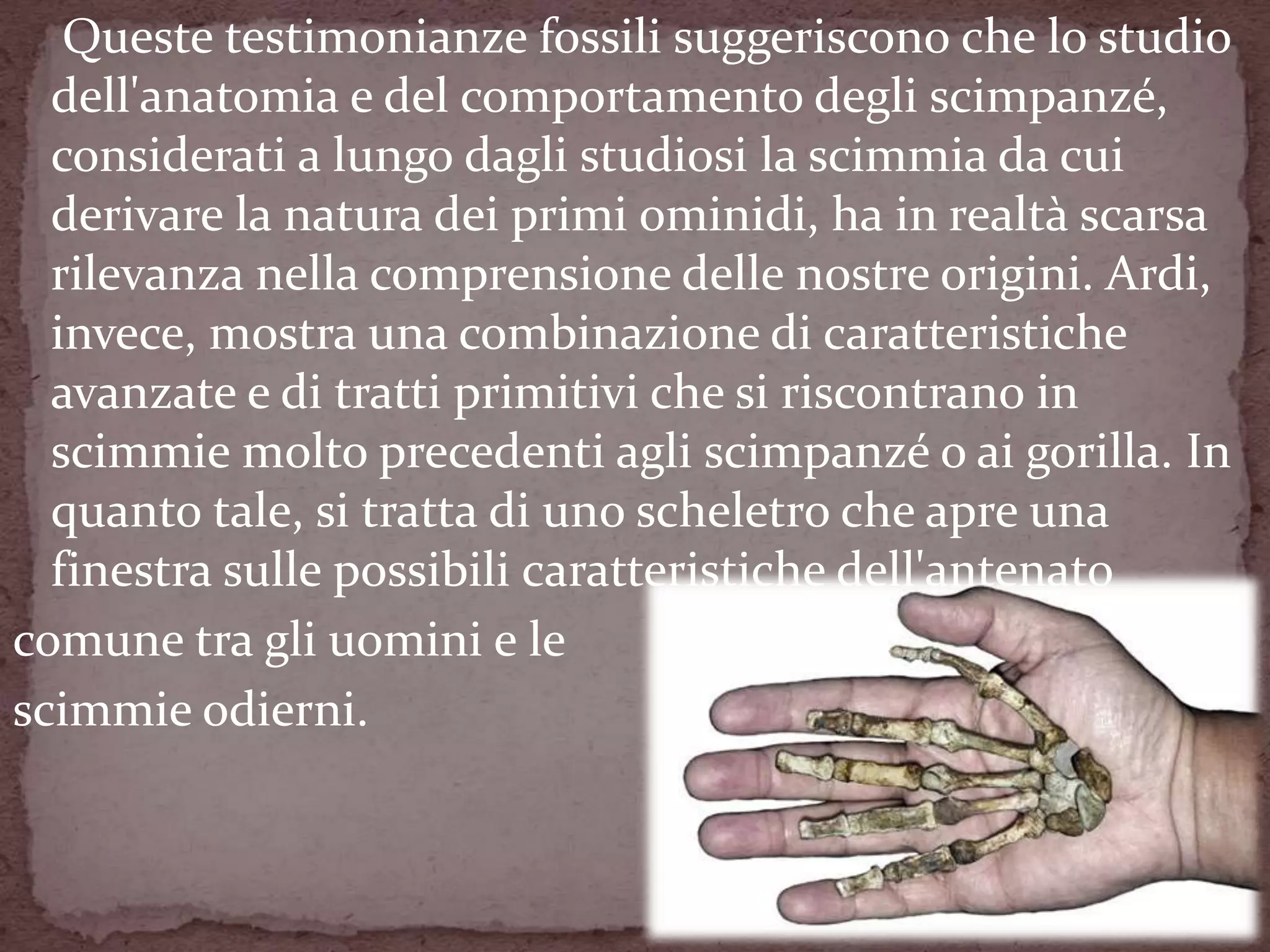 Reperto fossile lucy | PPTX