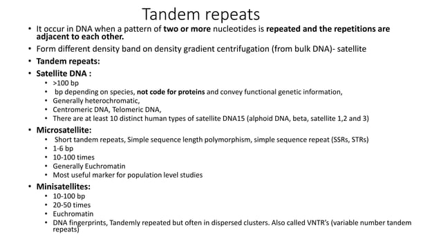 repetitive and non repetitive dna.pptx