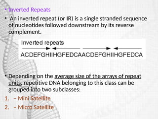 Types of DNA- Repetitive and Satellite DNA | PPTX | Biological Sciences ...