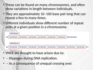 Types of DNA- Repetitive and Satellite DNA | PPTX