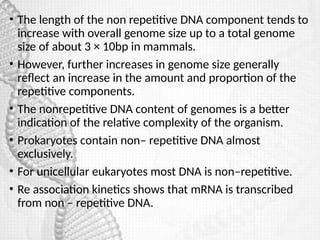 Types of DNA- Repetitive and Satellite DNA | PPTX | Biological Sciences ...