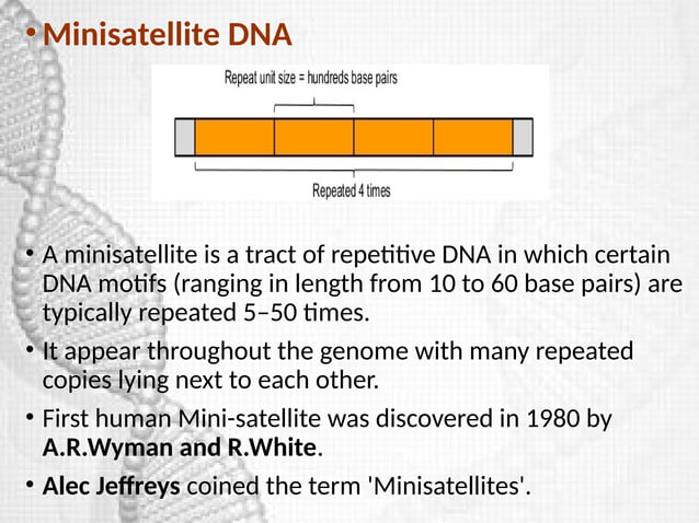 Repetitive and Satellite DNA and their role | PPTX