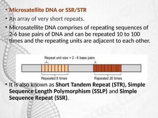 Repetitive and Satellite DNA and their role | PPTX