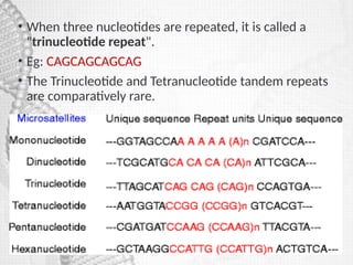 Repetitive and Satellite DNA and their role | PPTX