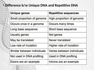Repetitive and Satellite DNA and their role | PPTX