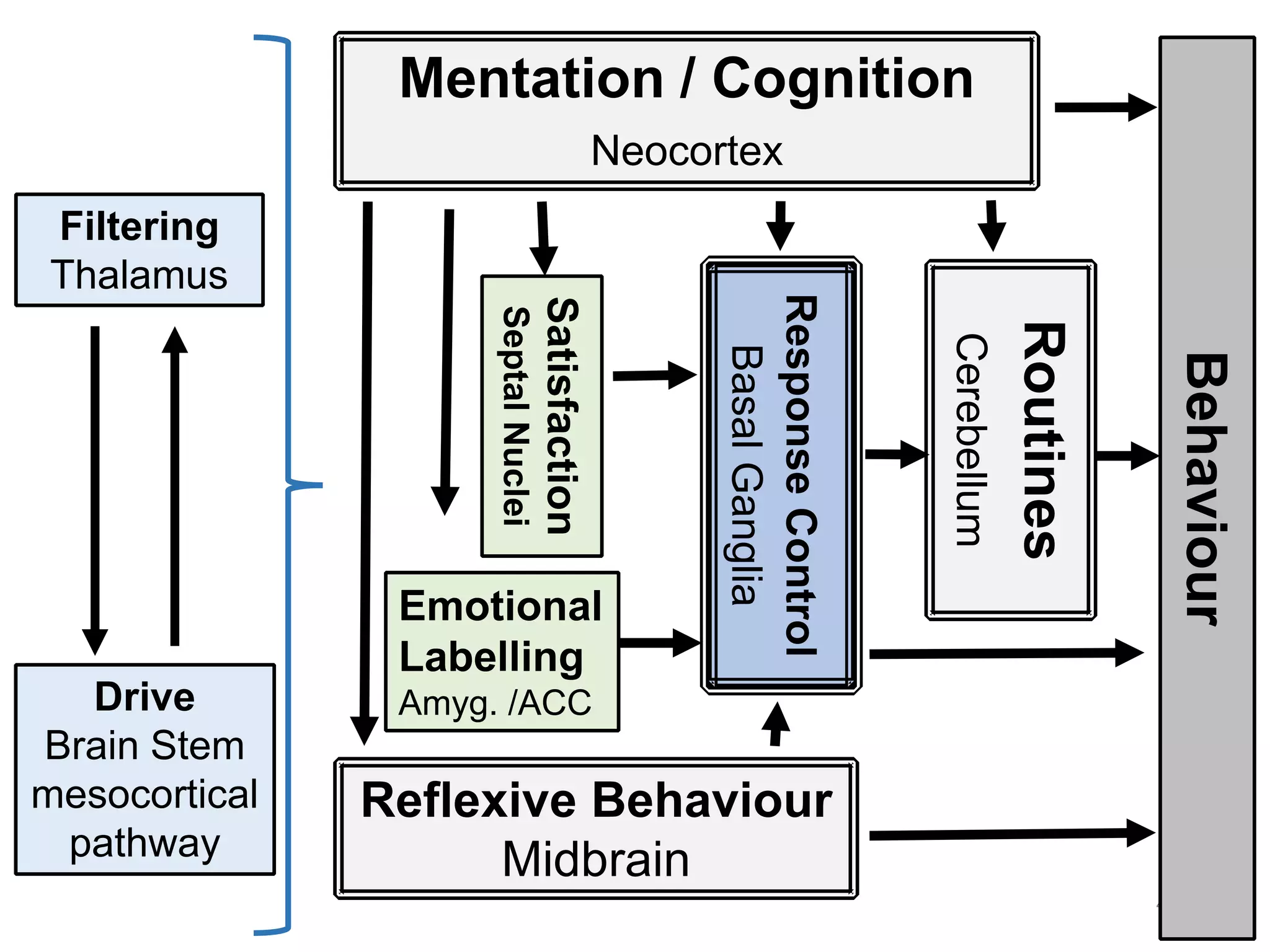 Repetitive behaviour in autism: a neurobehavioural approach | PPTX