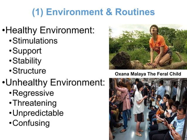 Repetitive behaviour in autism: a neurobehavioural approach | PPTX