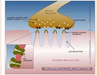 Repetitive Nerve Stimulation | PPTX