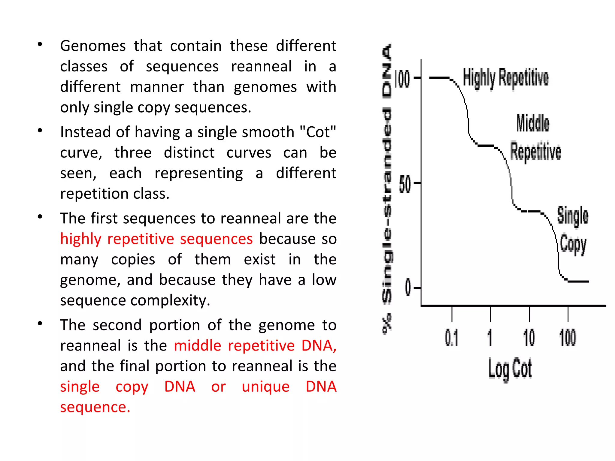Repetitive sequences in the eukaryotic genome | PPT