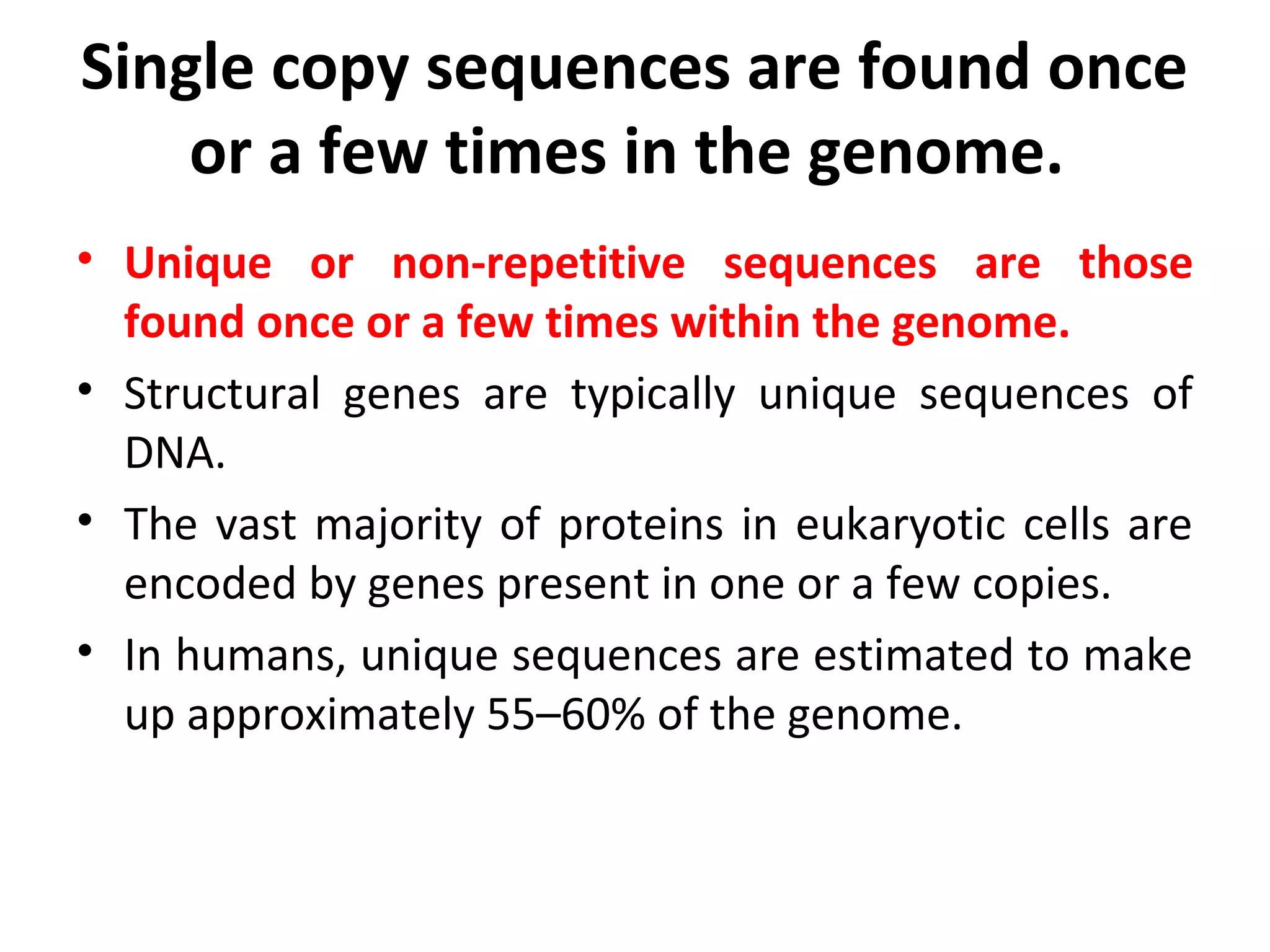 Repetitive sequences in the eukaryotic genome | PPT