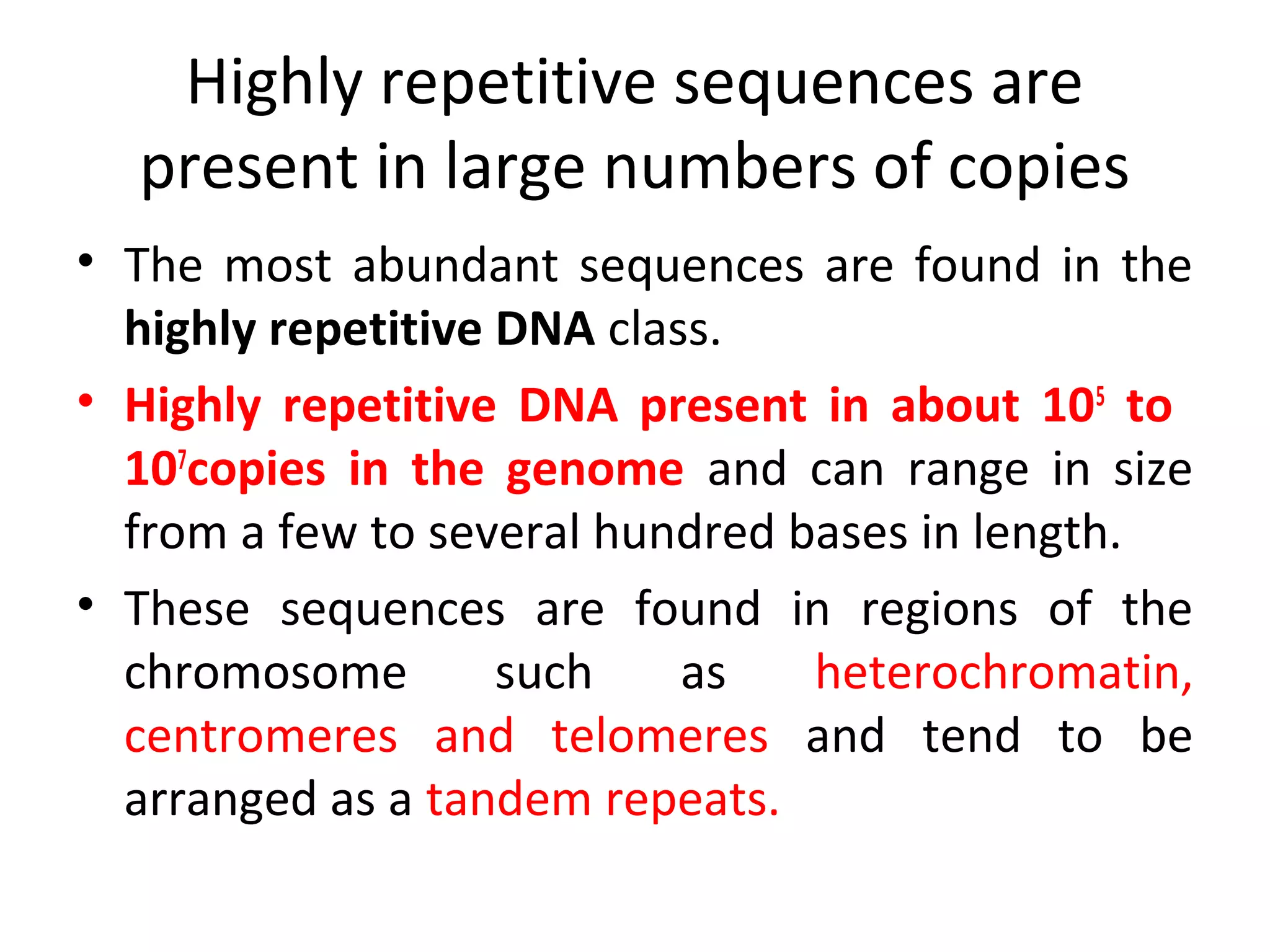 Repetitive sequences in the eukaryotic genome | PPT