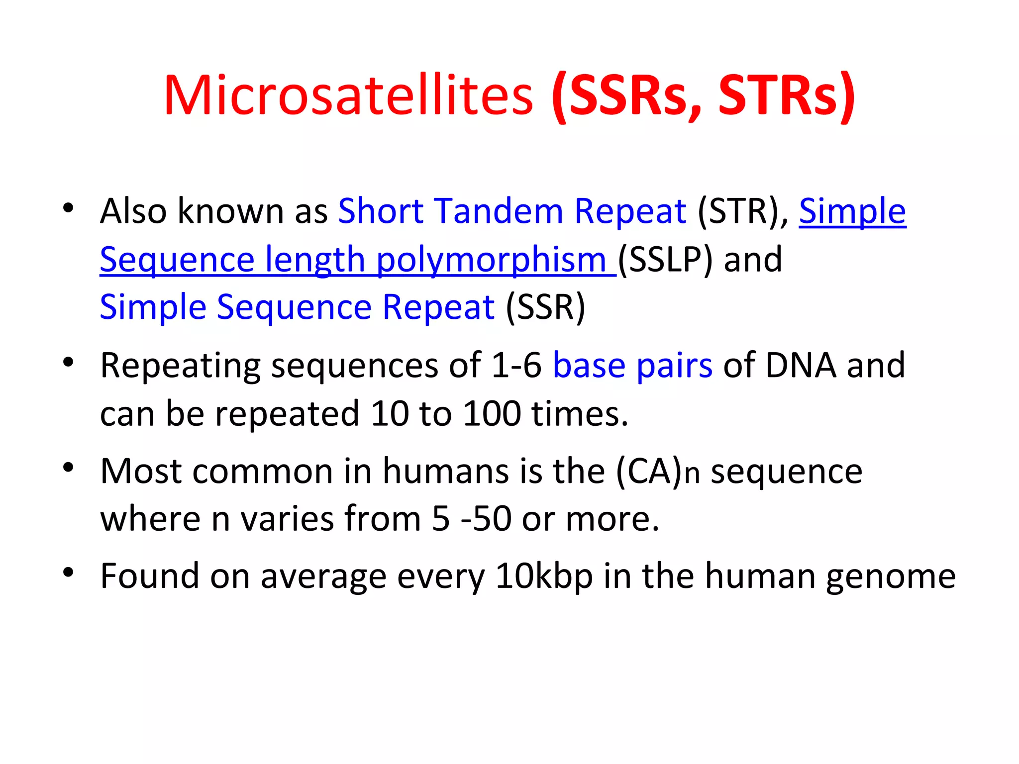 Repetitive sequences in the eukaryotic genome | PPT | Chemistry | Science