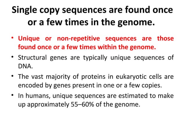 Repetitive sequences in the eukaryotic genome | PPT | Chemistry | Science