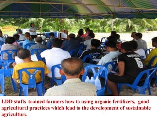 The Legacy of the Soil Doctors from Thailand | PPT