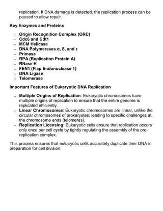 Process of Replication in Eukaryotes / Biology / notes | PDF