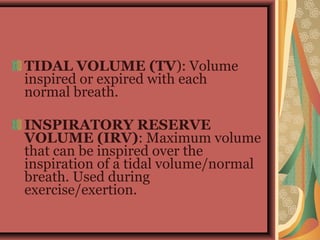 Repiratory anatomy and physiology | PPT