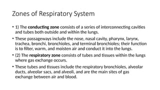 repiratory system-1.pptx hsjsjwjsjwuehdbd | PPTX