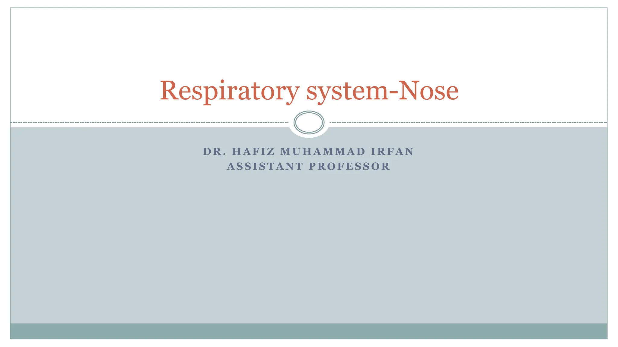 repiratory system.pptx.................... | PPTX