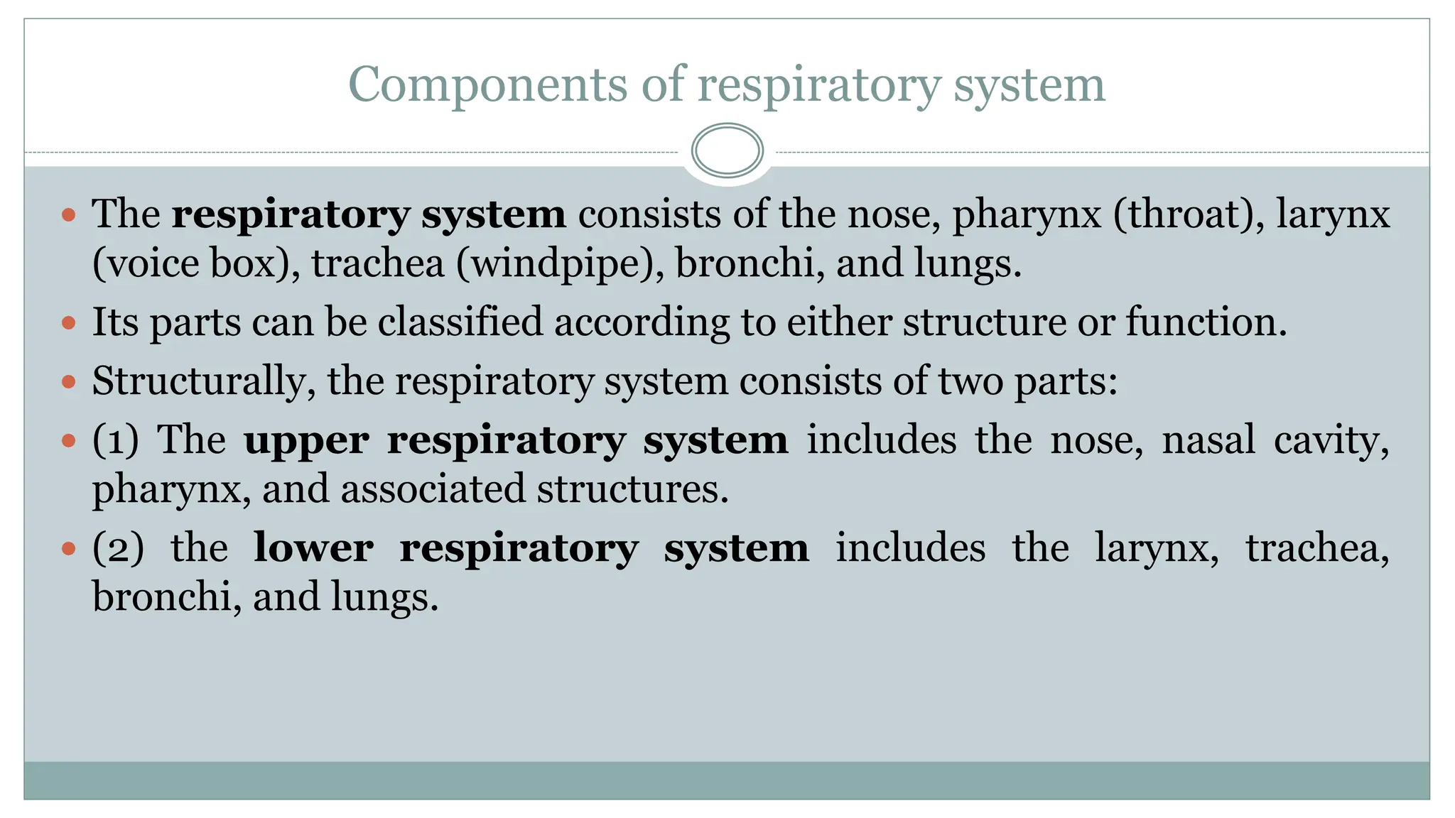 repiratory system.pptx.................... | PPTX