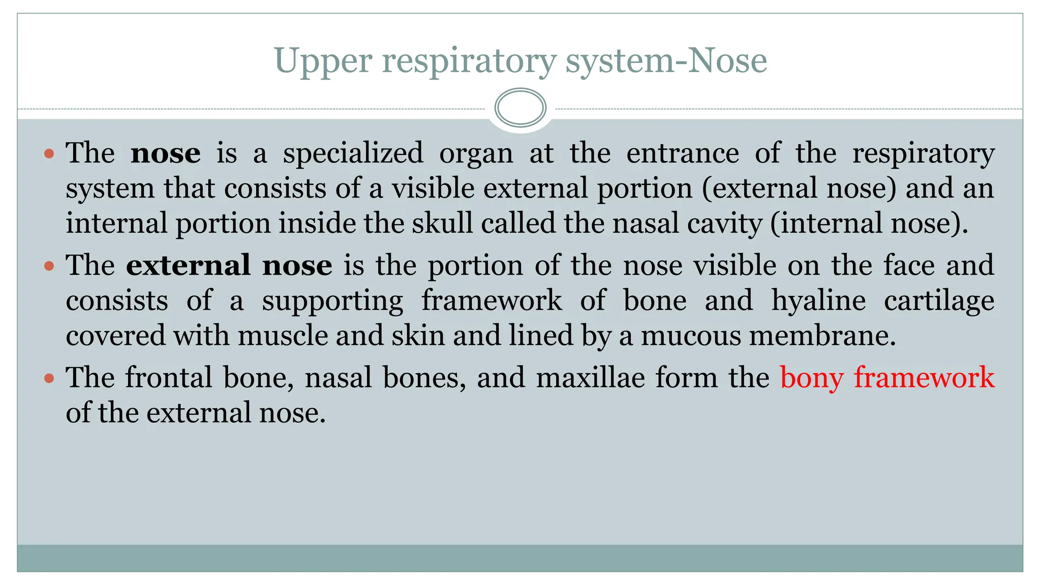 repiratory system.pptx.................... | PPTX