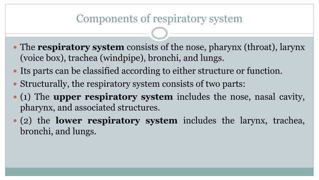 repiratory system.pptx.................... | PPTX