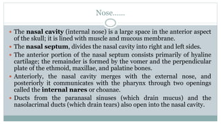 repiratory system.pptx.................... | PPTX