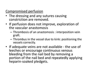 Replantation of the hand and Upper extremity | PPT
